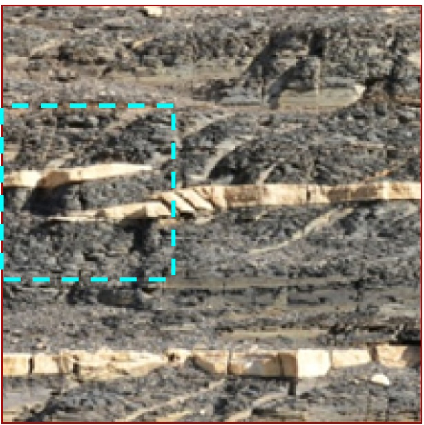 Beef-Fracture